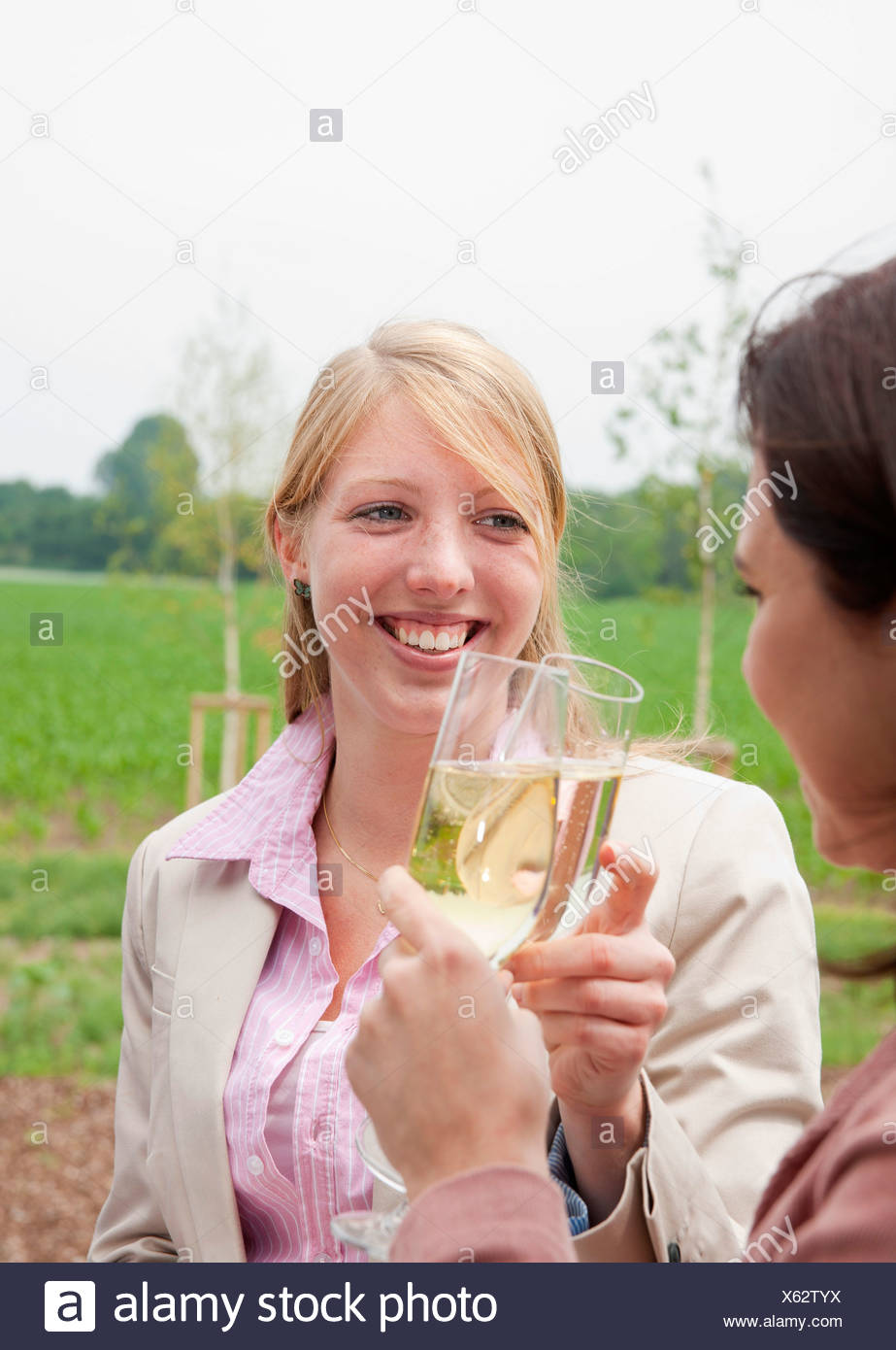 Chinking High Resolution Stock Photography and Images - Alamy