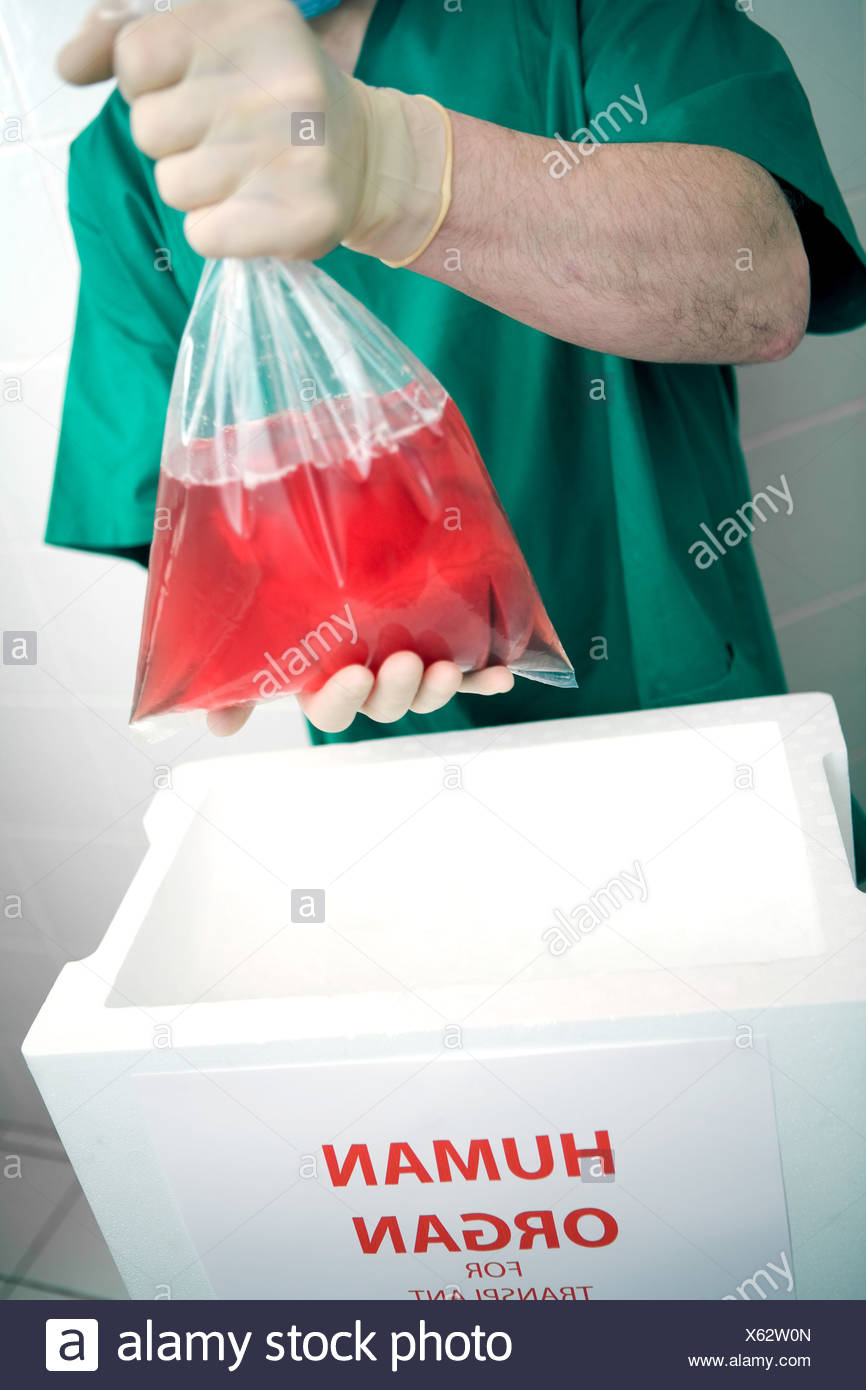Organ Transplantation Box High Resolution Stock Photography and Images ...