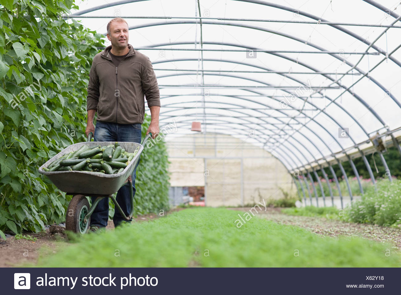Farming Stock Photos & Farming Stock Images - Alamy