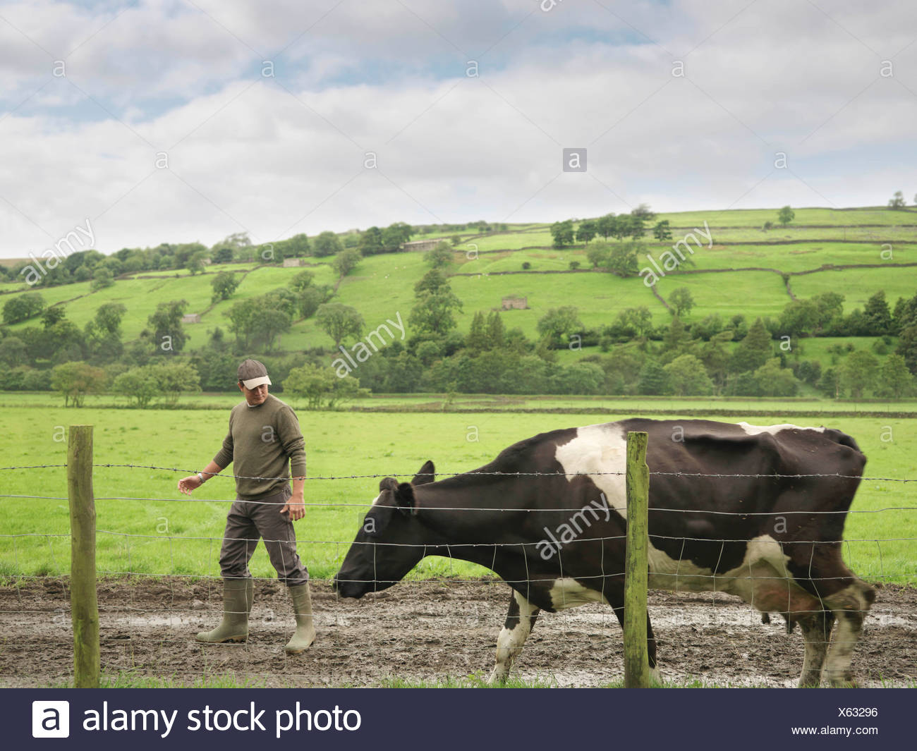 Farmer Cow High Resolution Stock Photography and Images - Alamy