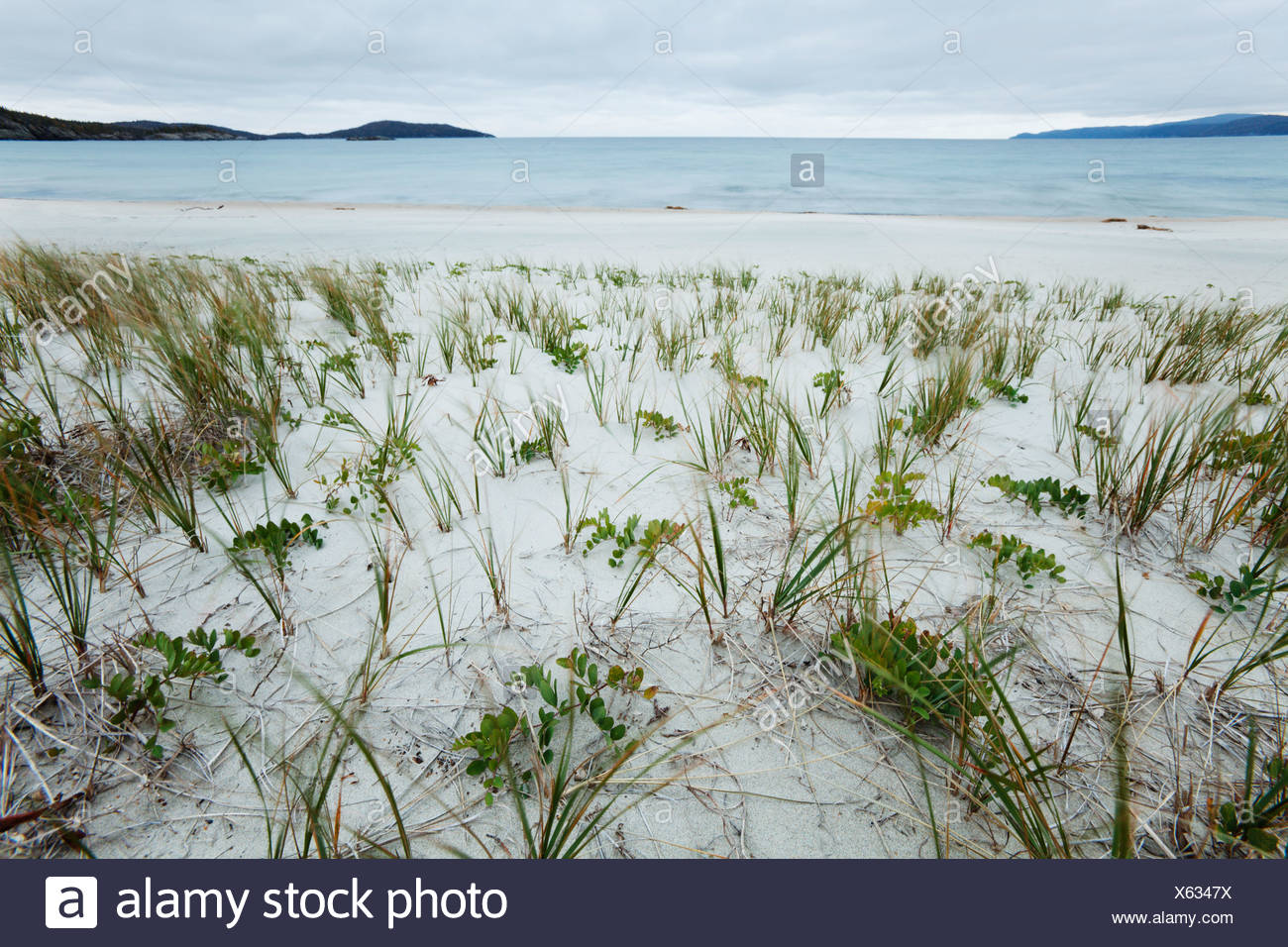 Superior High Resolution Stock Photography and Images - Alamy