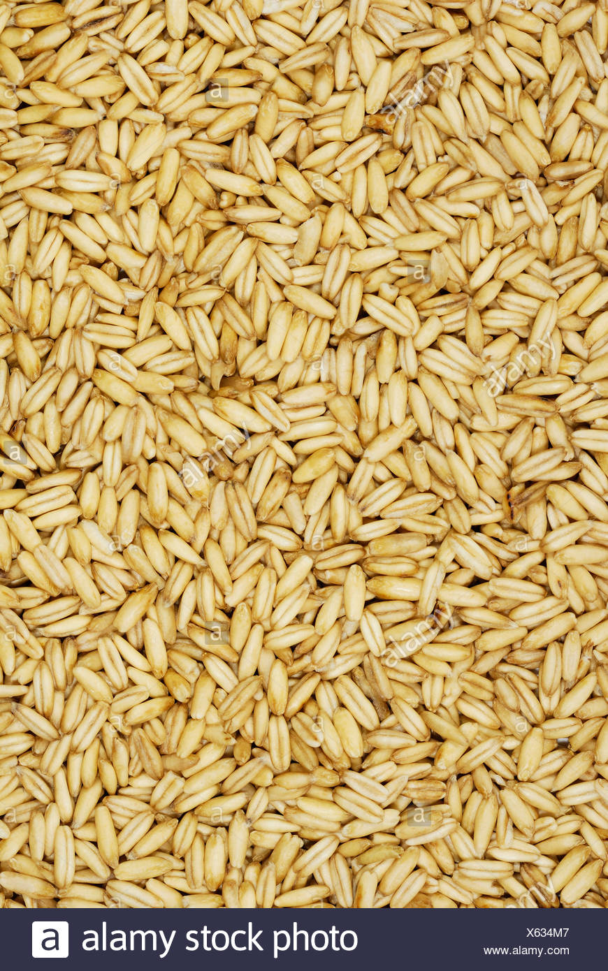 Oat Grains High Resolution Stock Photography and Images - Alamy