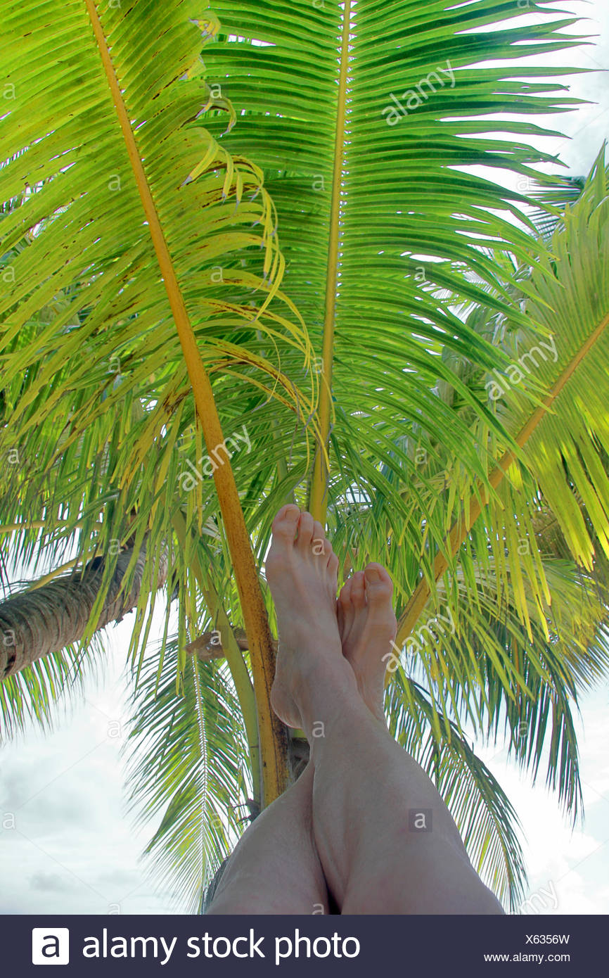 Palm Legs High Resolution Stock Photography and Images - Alamy