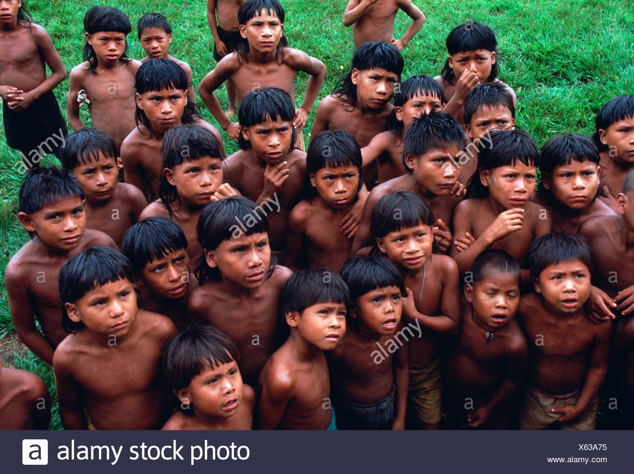 Indian Children Rainforest Stock Photos & Indian Children Rainforest ...