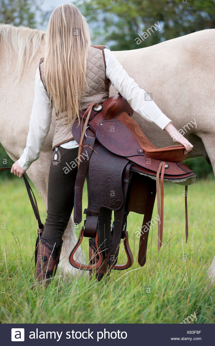 Palomino Female High Resolution Stock Photography and Images - Alamy