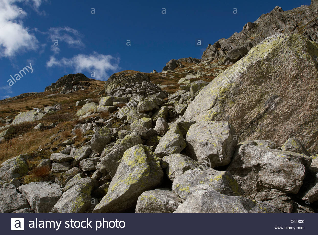 Brusquely Stock Photos & Brusquely Stock Images - Alamy