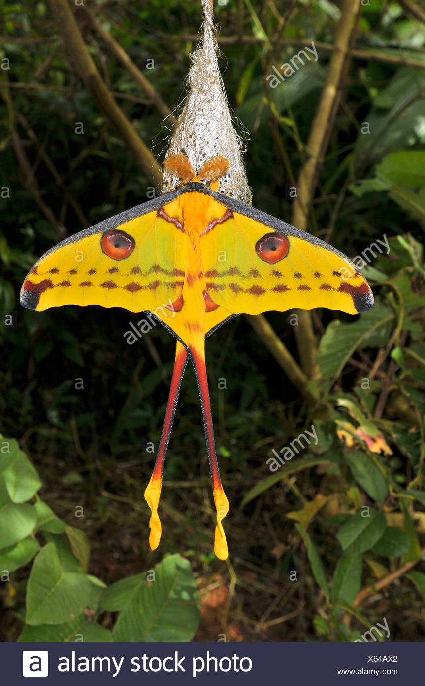 Rain Markings High Resolution Stock Photography and Images - Alamy