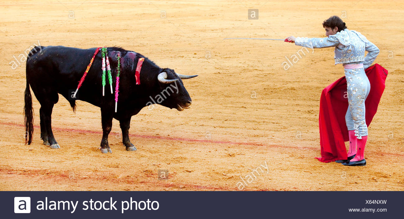 Torero With Bull High Resolution Stock Photography and Images - Alamy