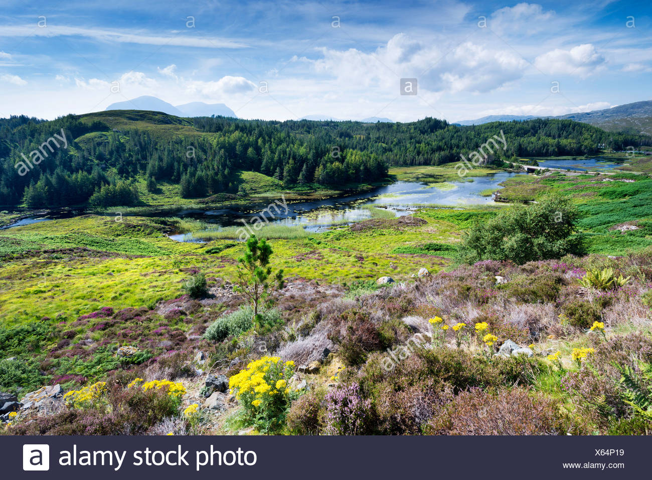Northern Moorland High Resolution Stock Photography and Images - Alamy