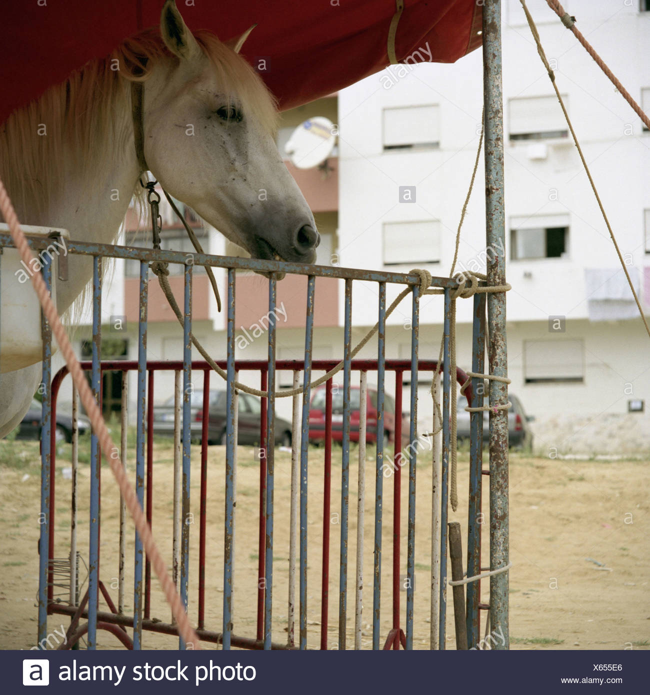 White Circus Canopy High Resolution Stock Photography and Images - Alamy