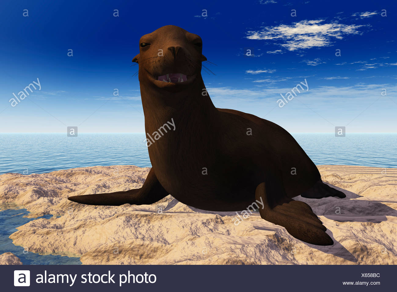 Illustrations Seal High Resolution Stock Photography and Images - Alamy