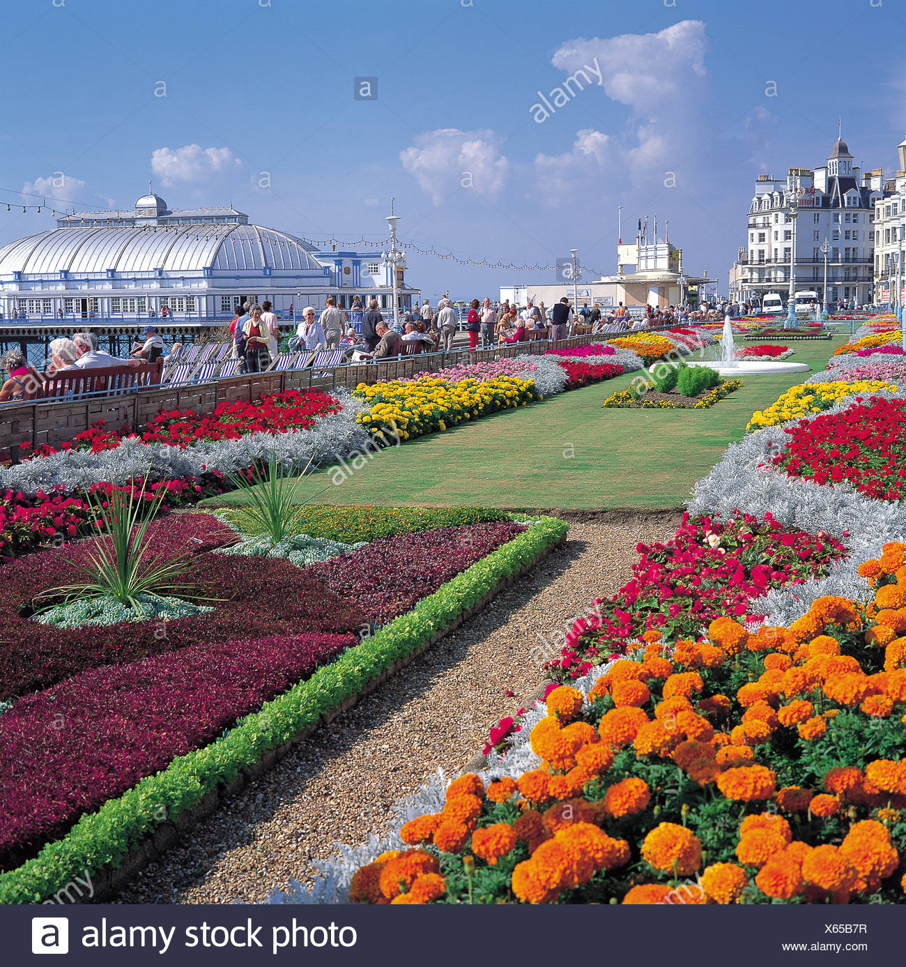 Eastbourne Seafront High Resolution Stock Photography and Images - Alamy