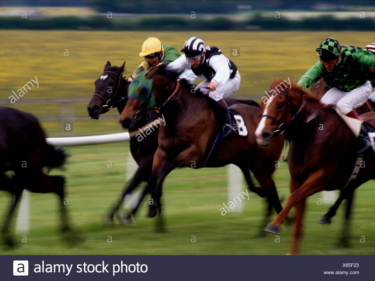 Horse Racing Ireland High Resolution Stock Photography and Images - Alamy