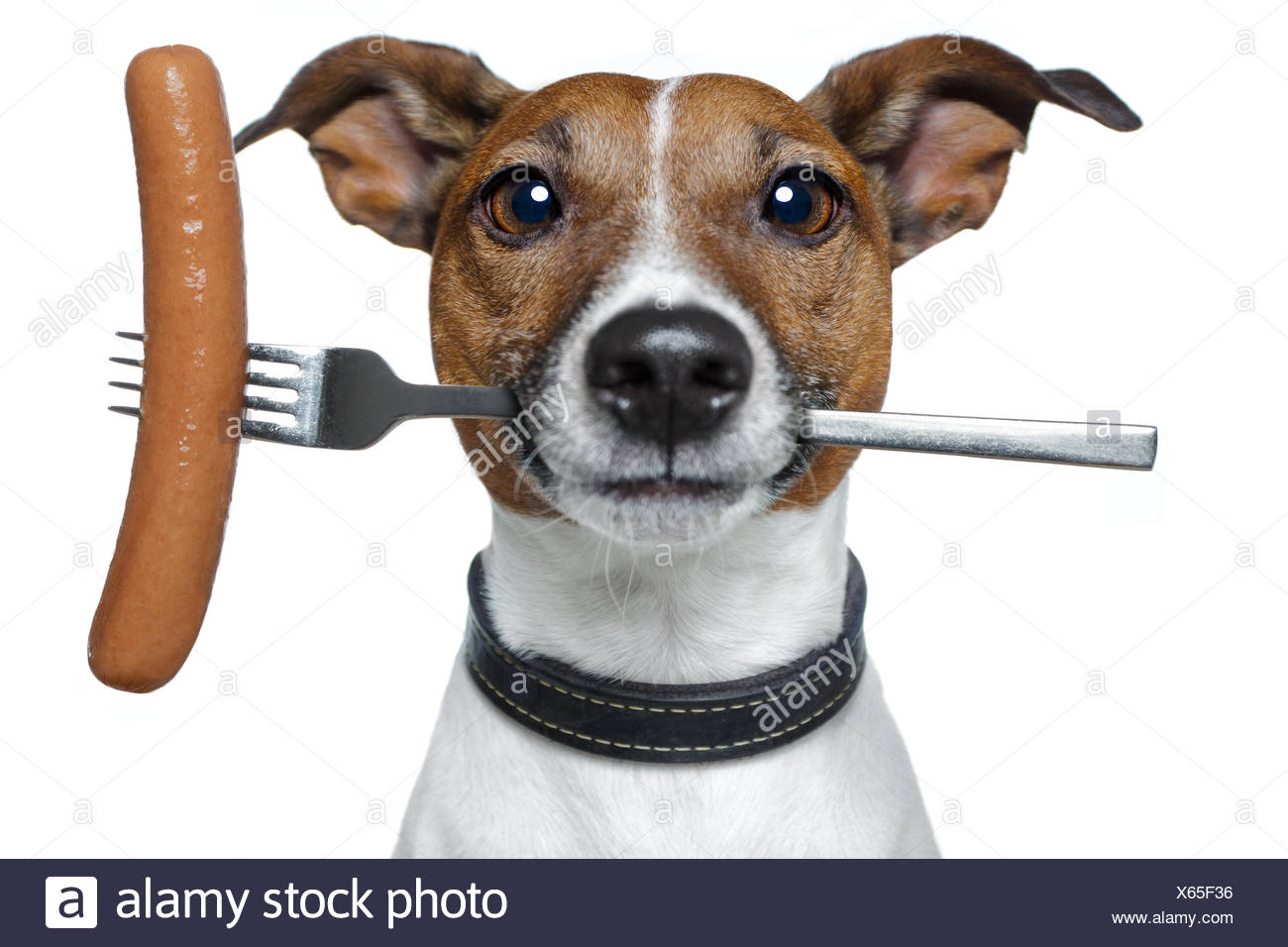 Russell Fork High Resolution Stock Photography and Images - Alamy
