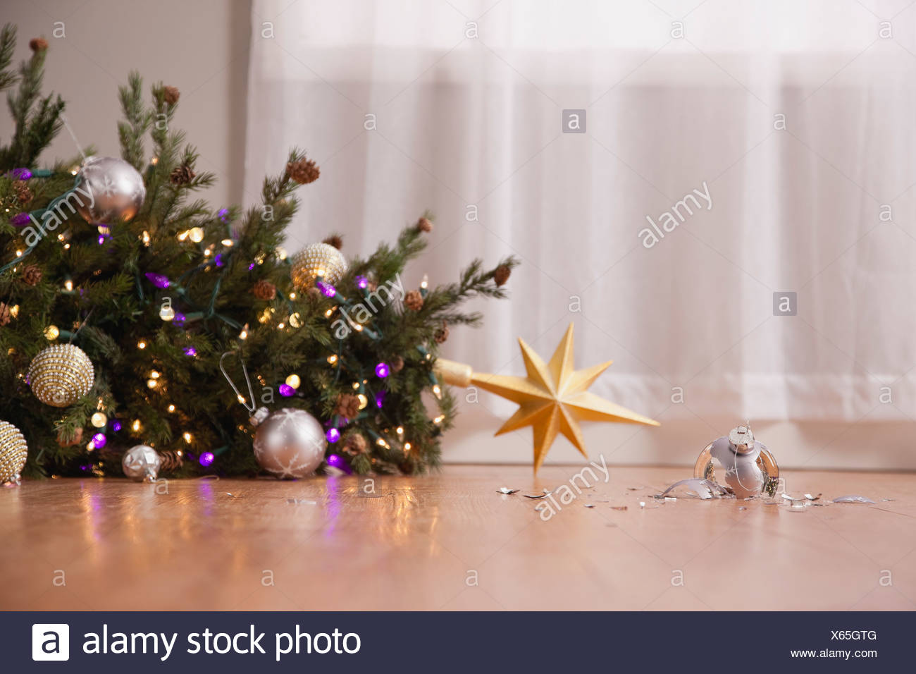 Fallen Christmas Tree High Resolution Stock Photography and Images - Alamy
