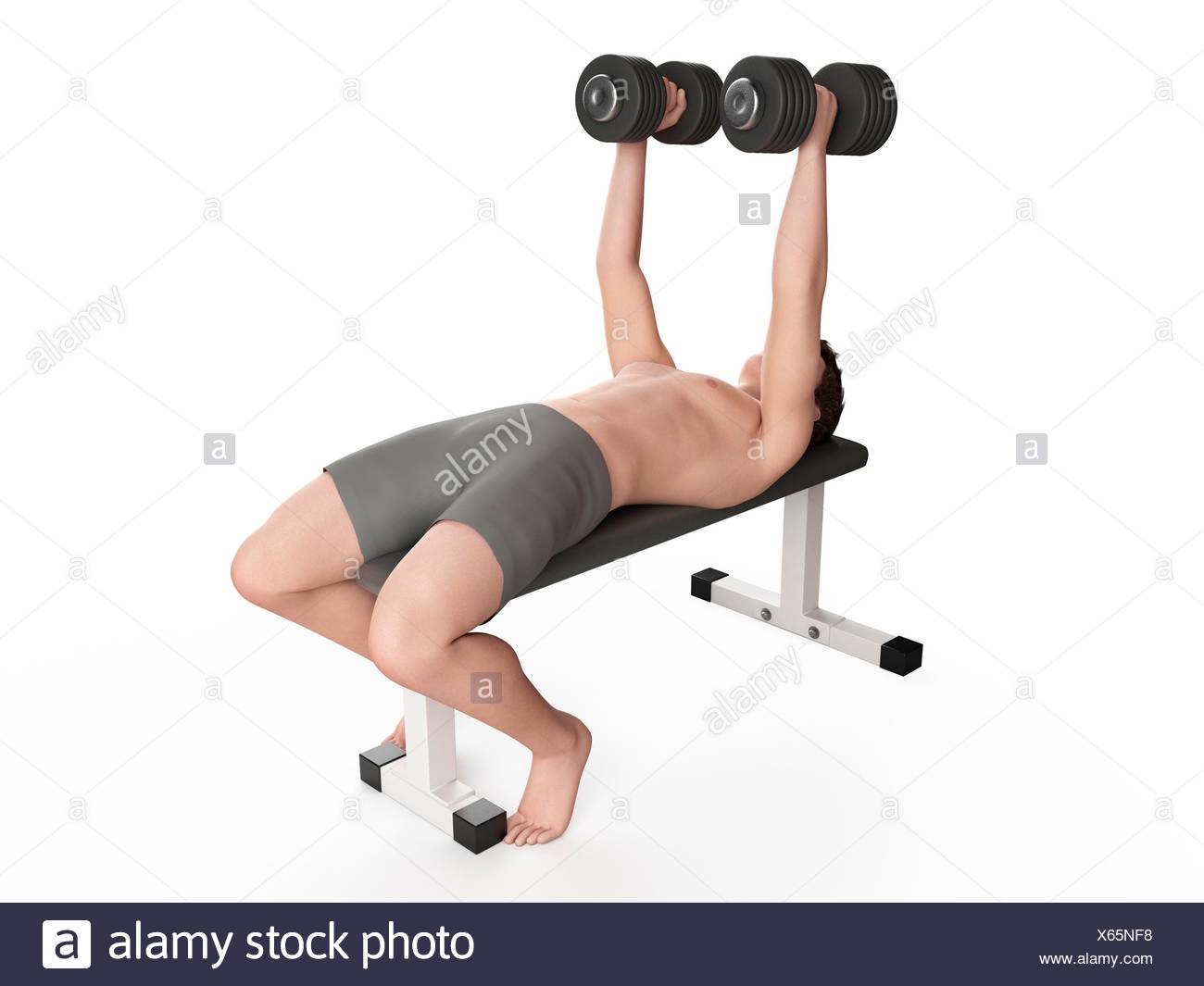 Dumbbell Fly High Resolution Stock Photography and Images - Alamy