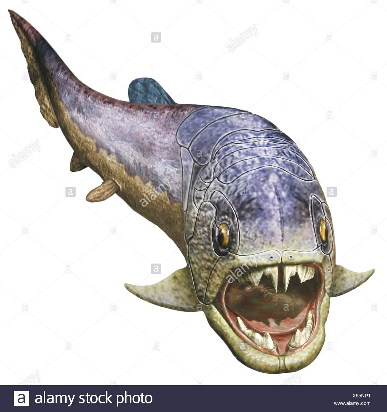 Prehistoric Fish
