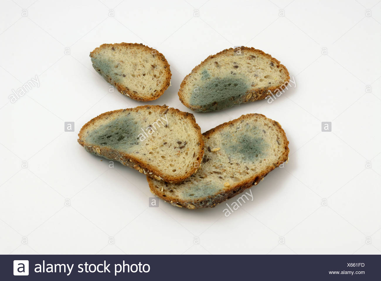Moldy Bread High Resolution Stock Photography and Images - Alamy