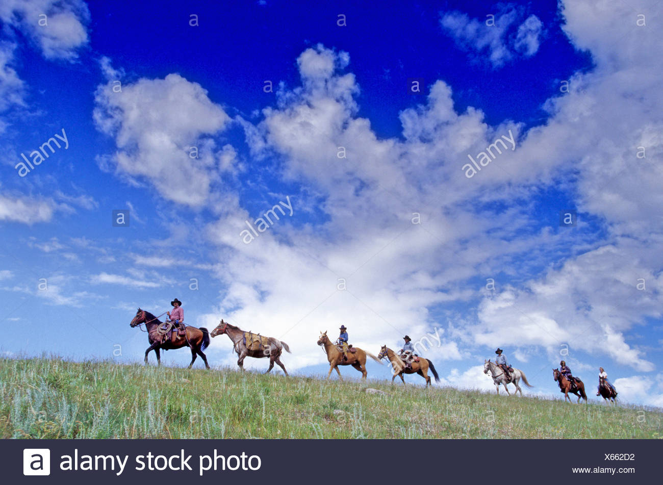 Western Cowboys Stock Photos & Western Cowboys Stock Images - Alamy