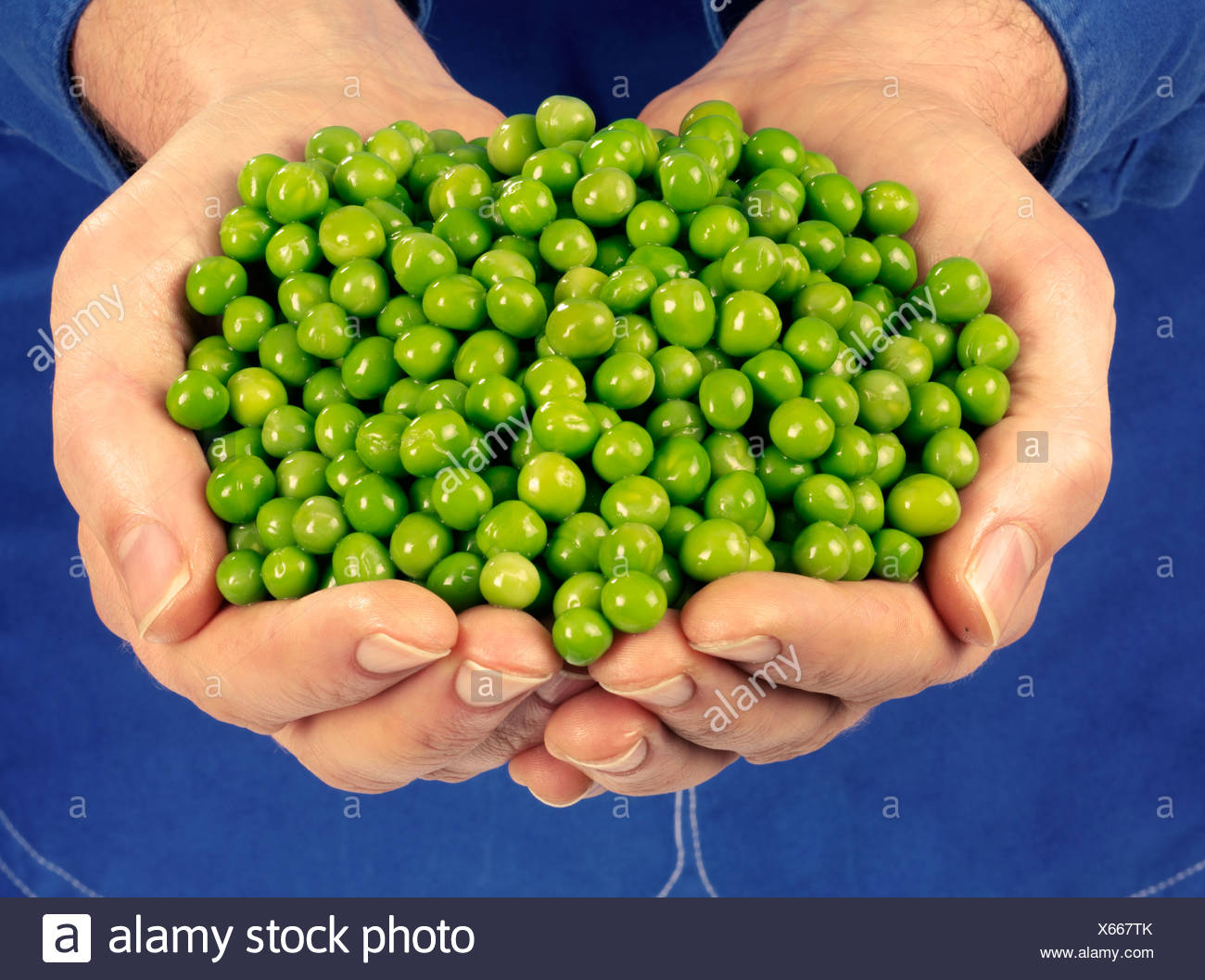 Presenting Raw Vegetables High Resolution Stock Photography and Images ...