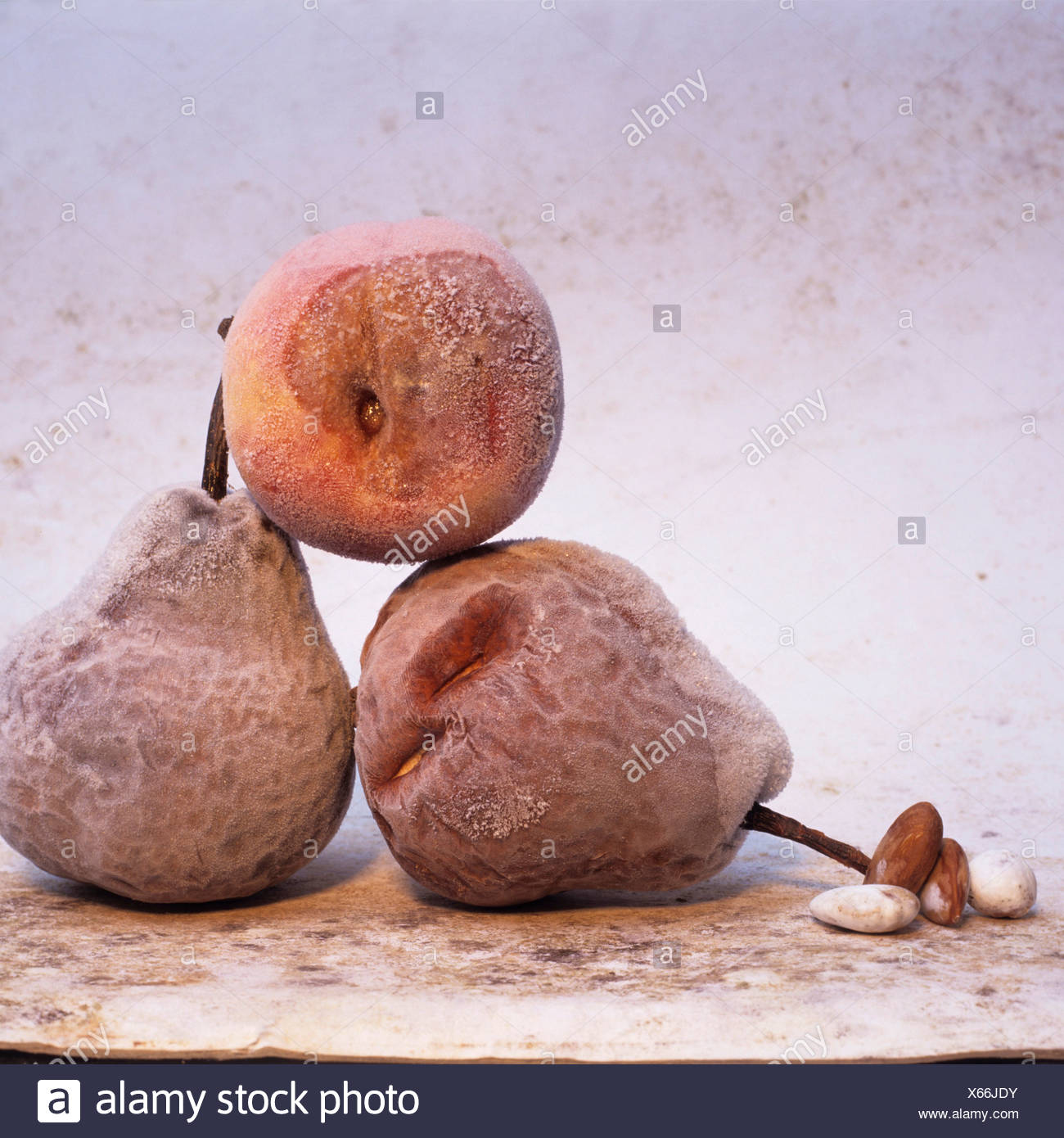 Apple Decay Stock Photos & Apple Decay Stock Images - Alamy