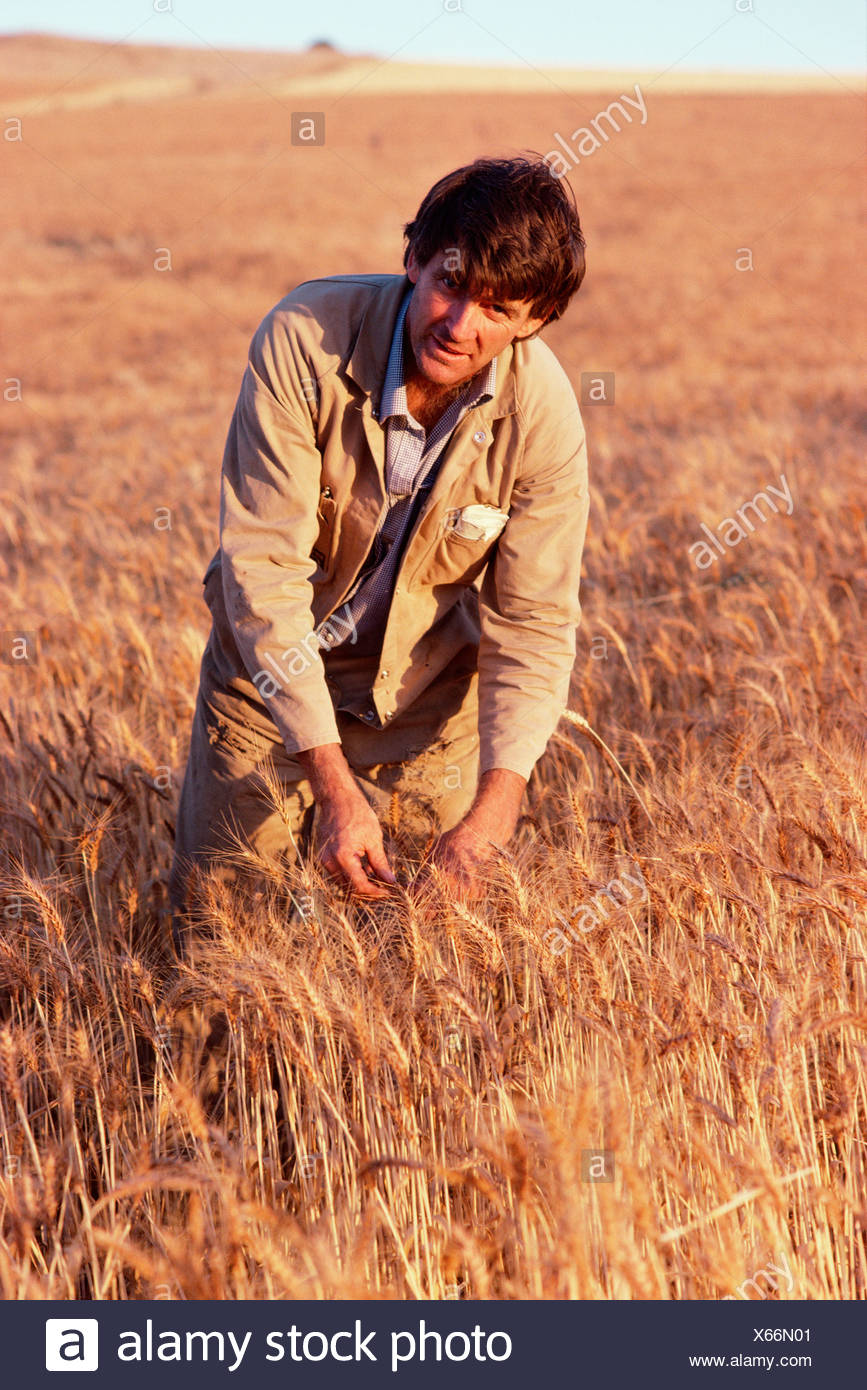 Australian Farmer Stock Photos & Australian Farmer Stock Images - Alamy