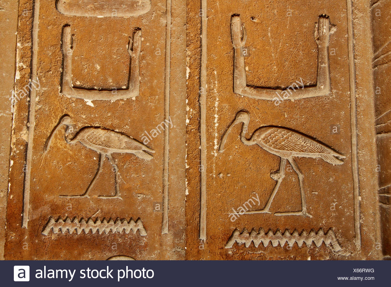 Hieroglyph Bird Stock Photos & Hieroglyph Bird Stock Images - Alamy