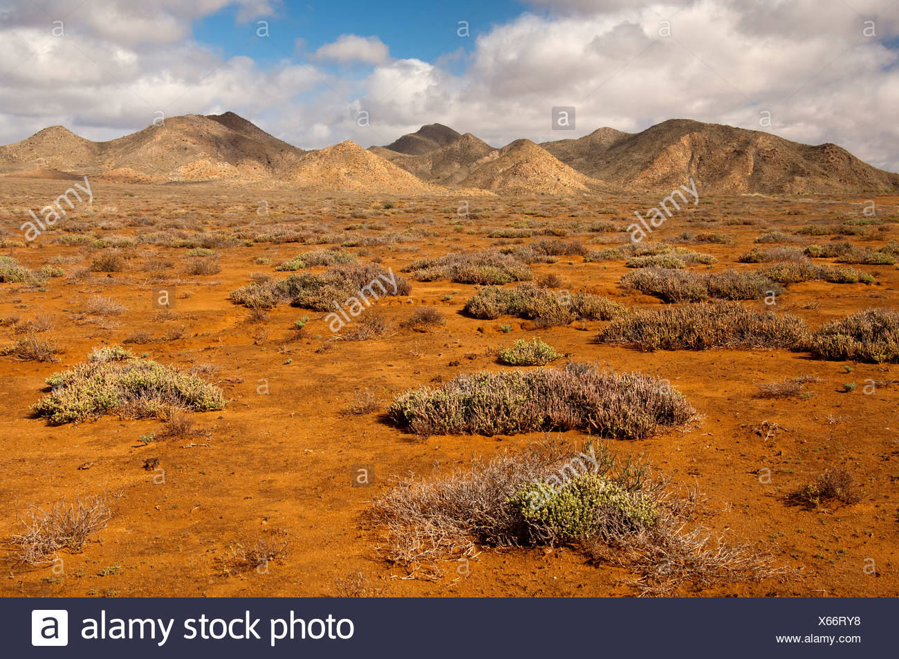 Red Soil South Africa High Resolution Stock Photography and Images - Alamy