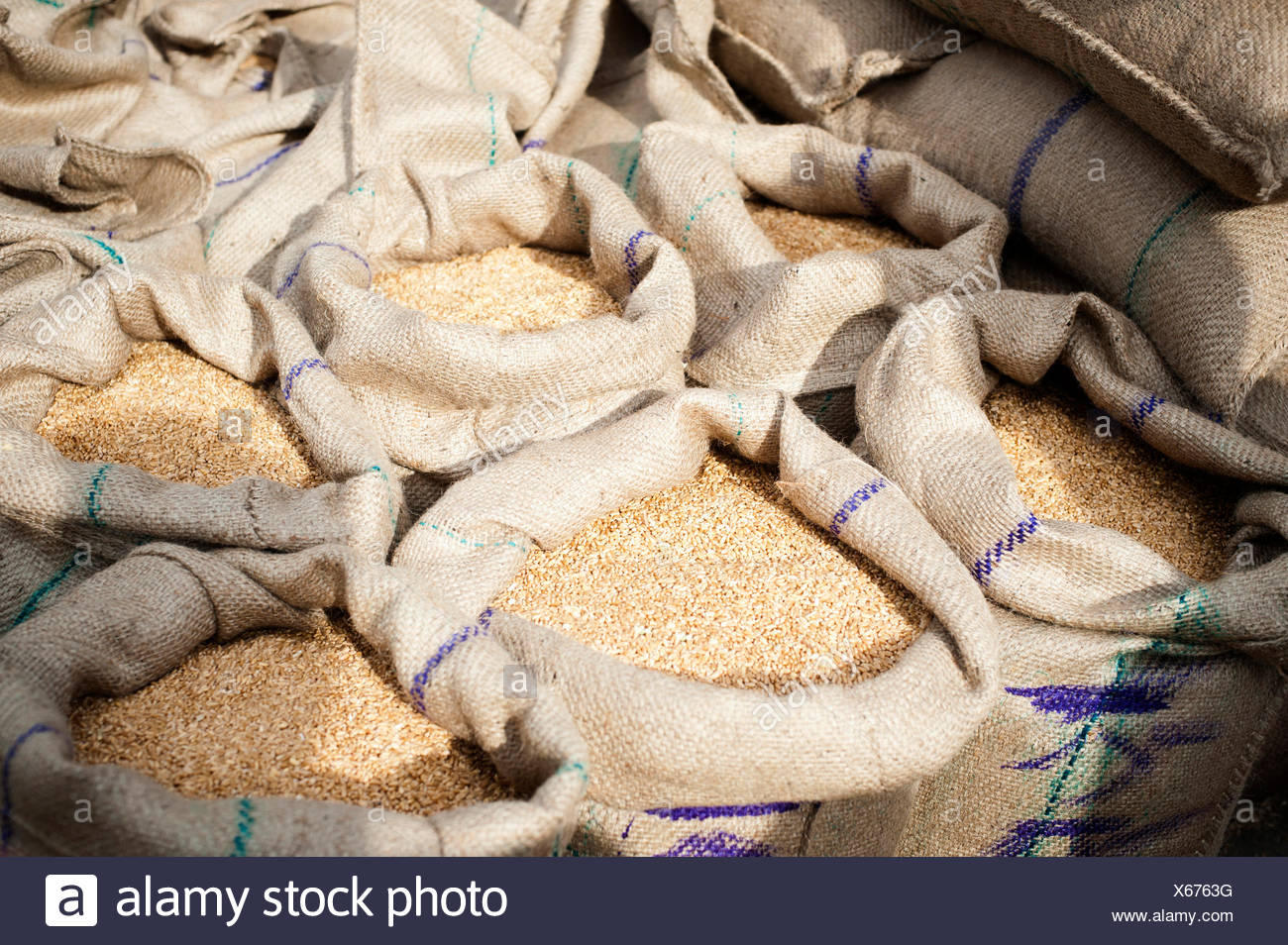 Wheat Grain Mandi High Resolution Stock Photography and Images - Alamy