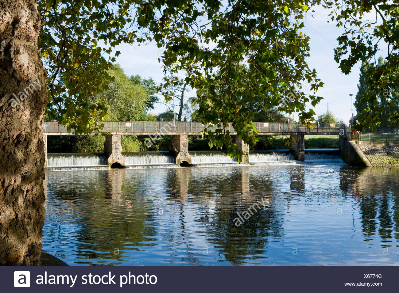 River Tone Taunton Somerset Stock Photos & River Tone Taunton Somerset ...