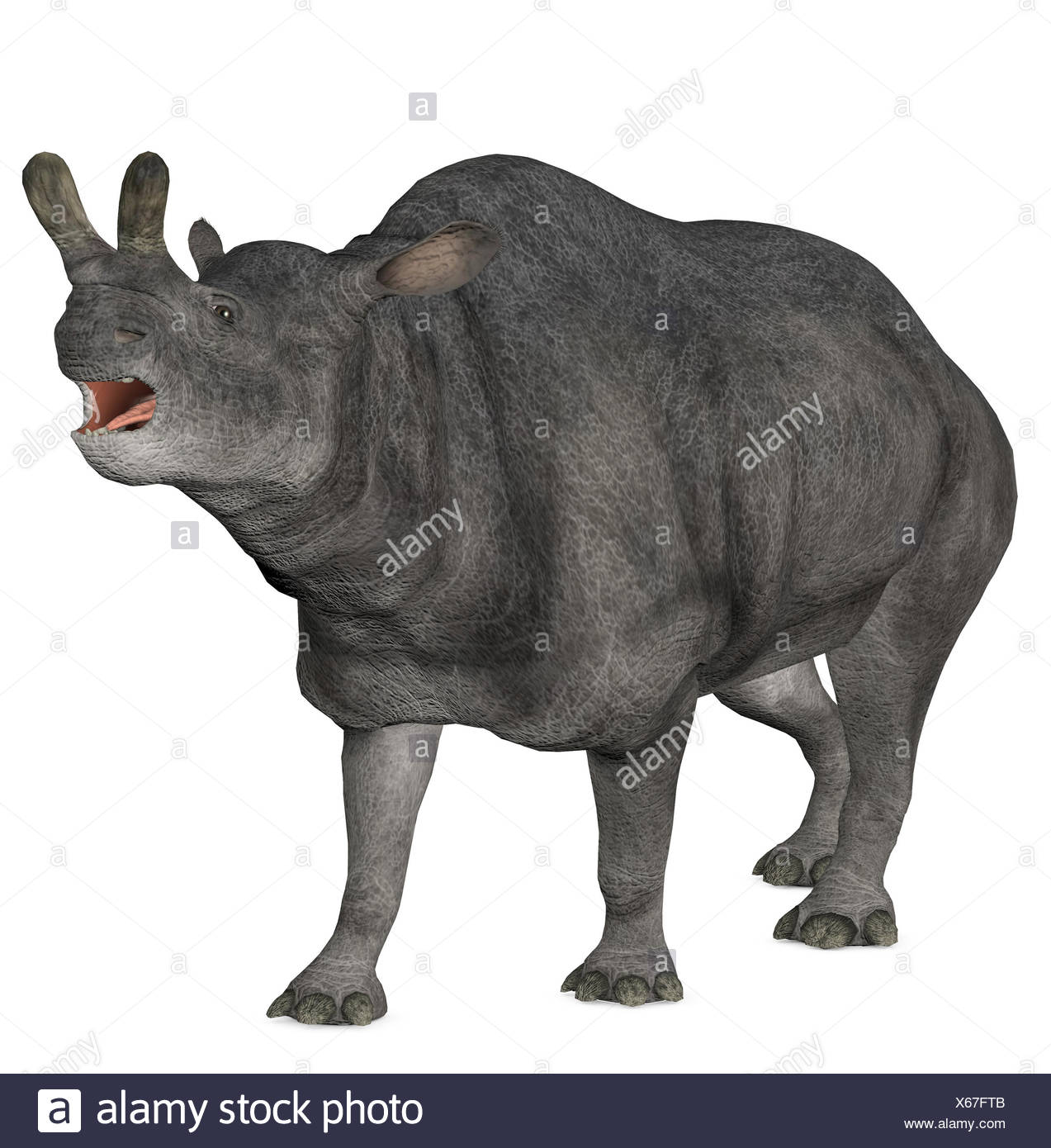 Brontotherium High Resolution Stock Photography and Images - Alamy