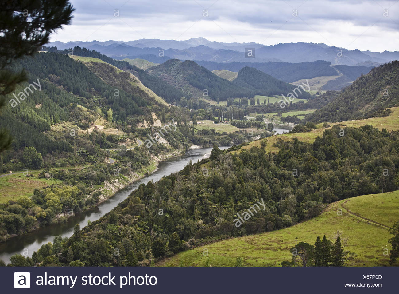 Wanganui High Resolution Stock Photography and Images - Alamy