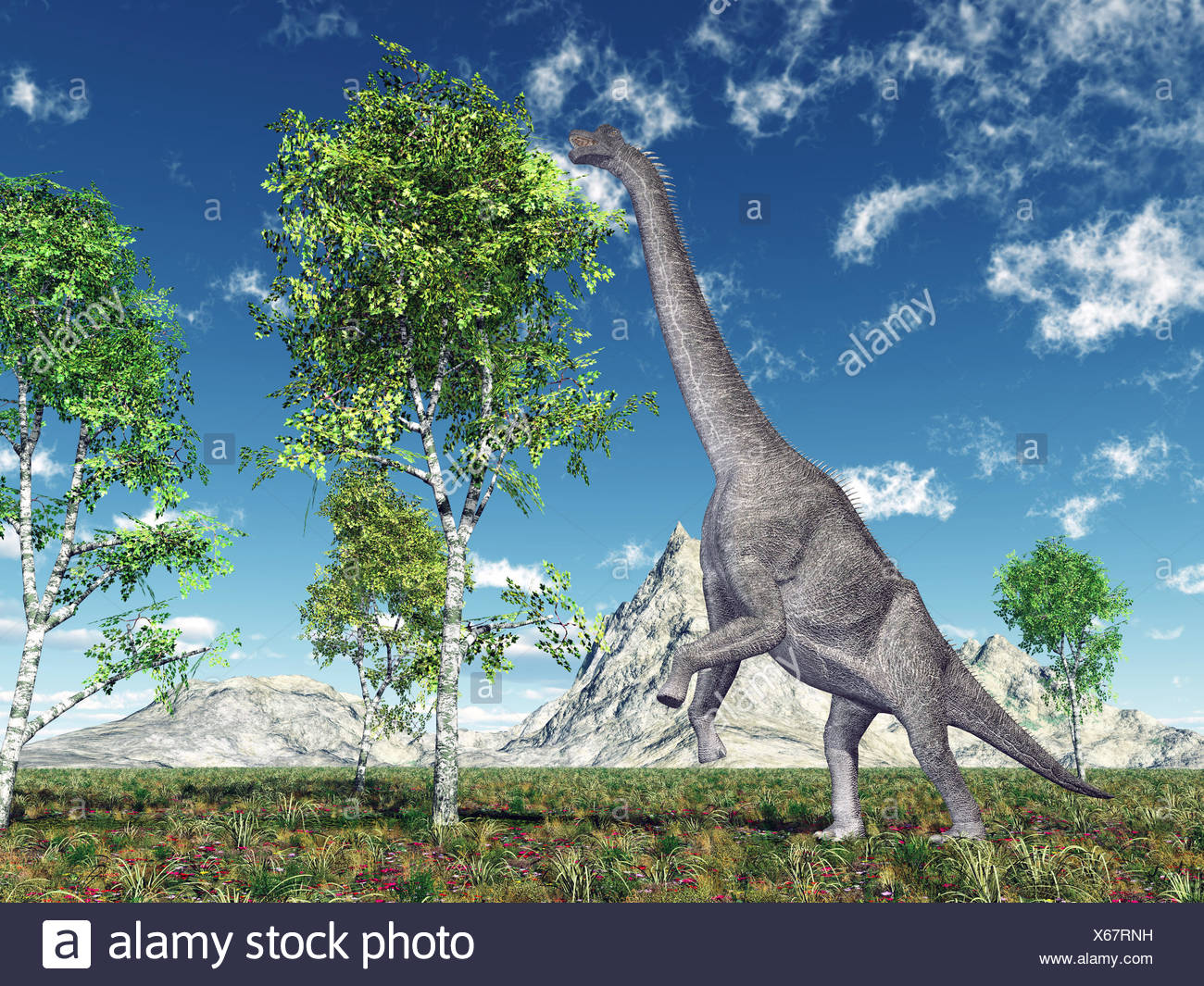 Brachiosaurus High Resolution Stock Photography and Images - Alamy