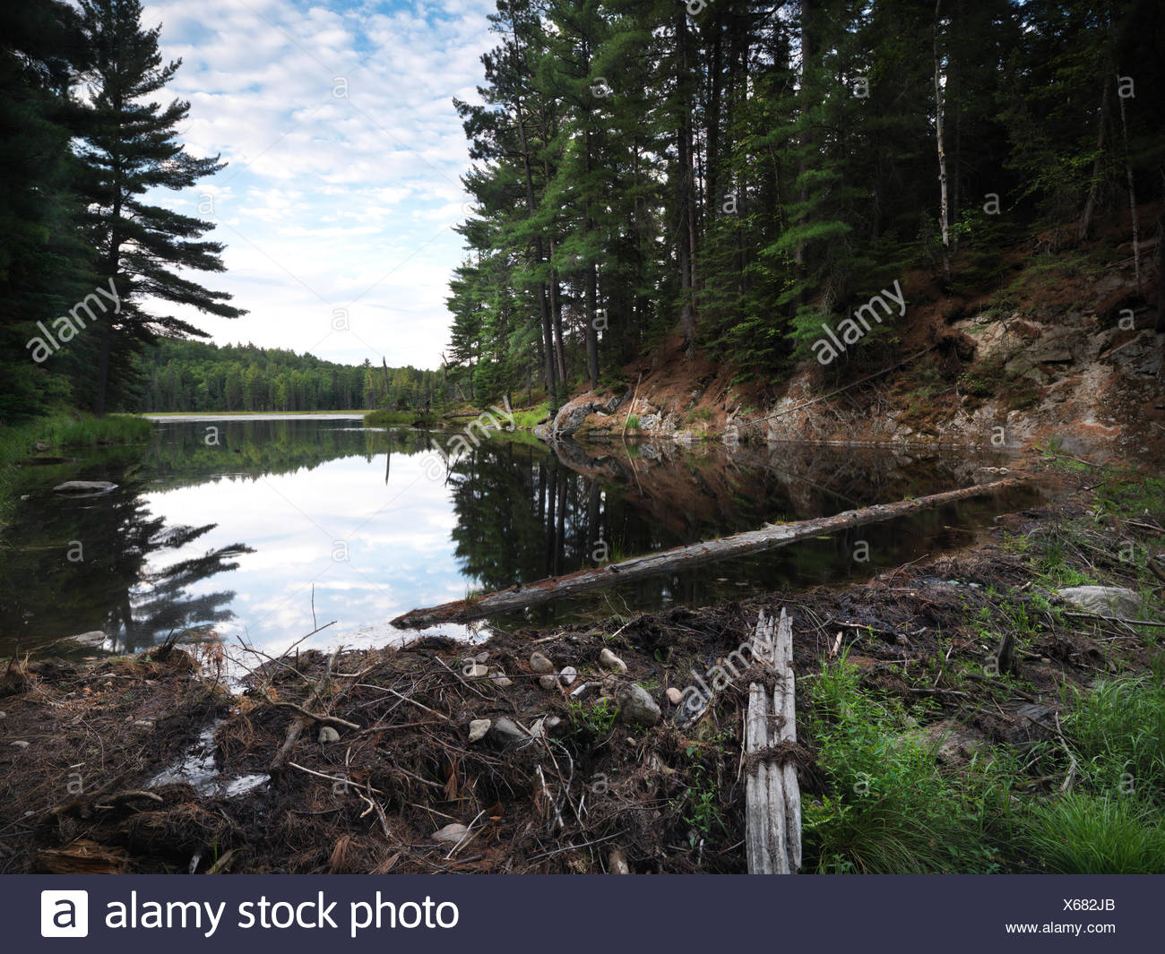 River Blocked High Resolution Stock Photography and Images - Alamy