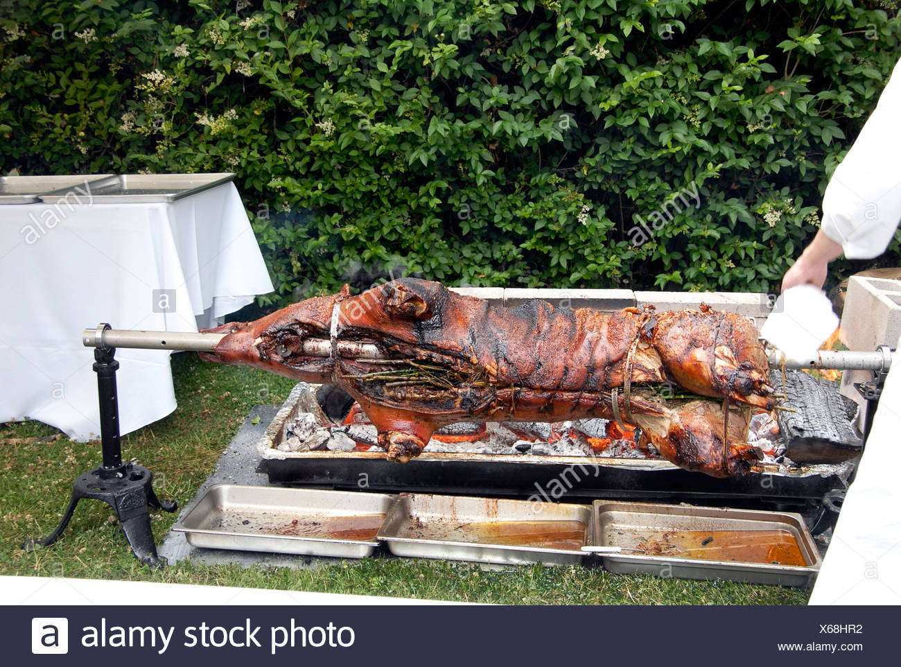 Pig On Spit Hog Roast Stock Photos & Pig On Spit Hog Roast Stock Images ...