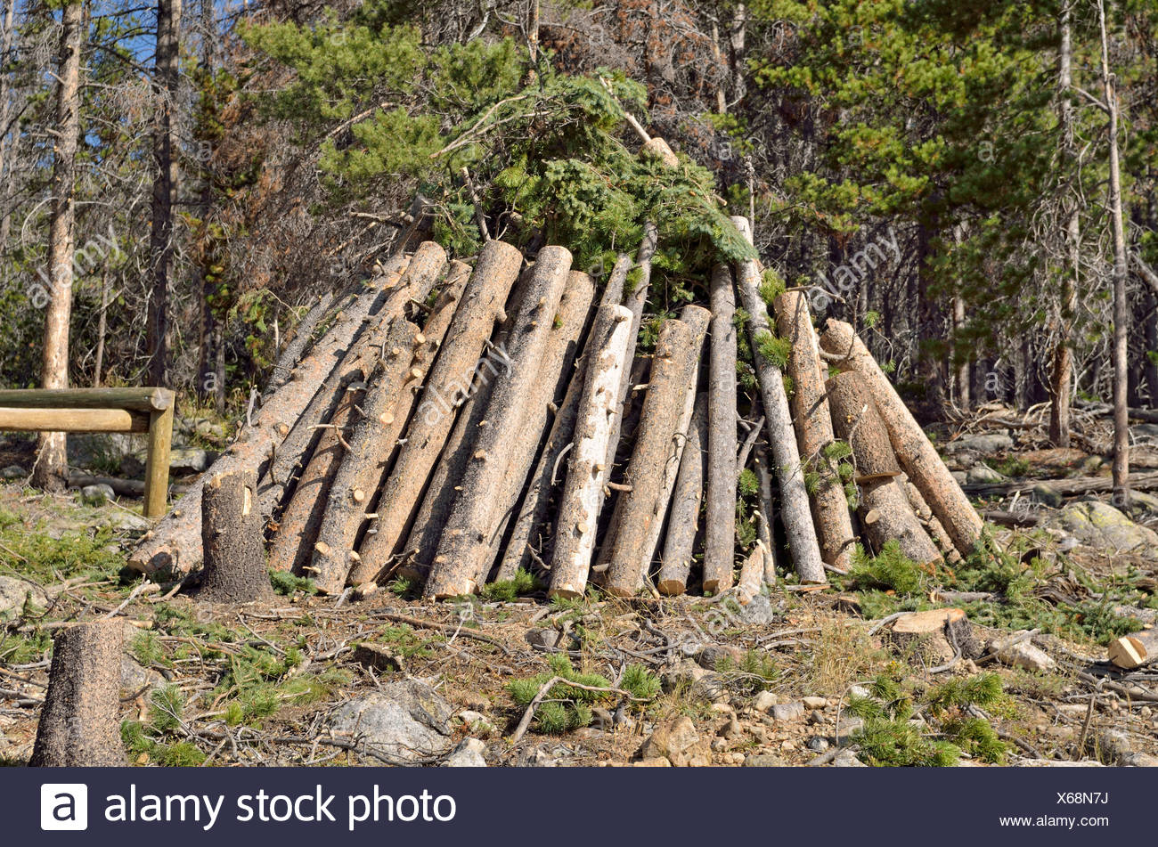 Wood Pyre High Resolution Stock Photography and Images - Alamy