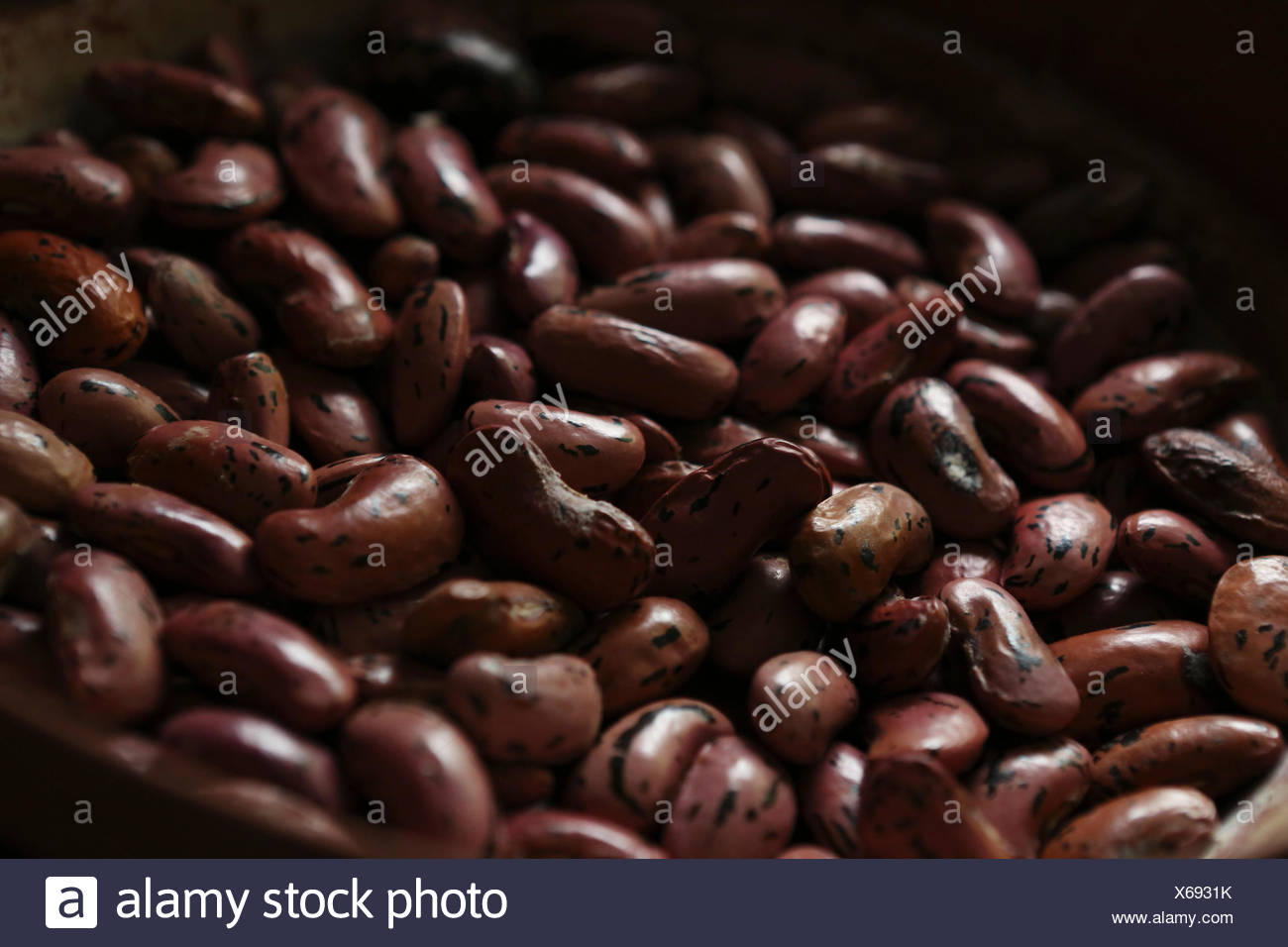Speckled Bean Stock Photos & Speckled Bean Stock Images - Alamy