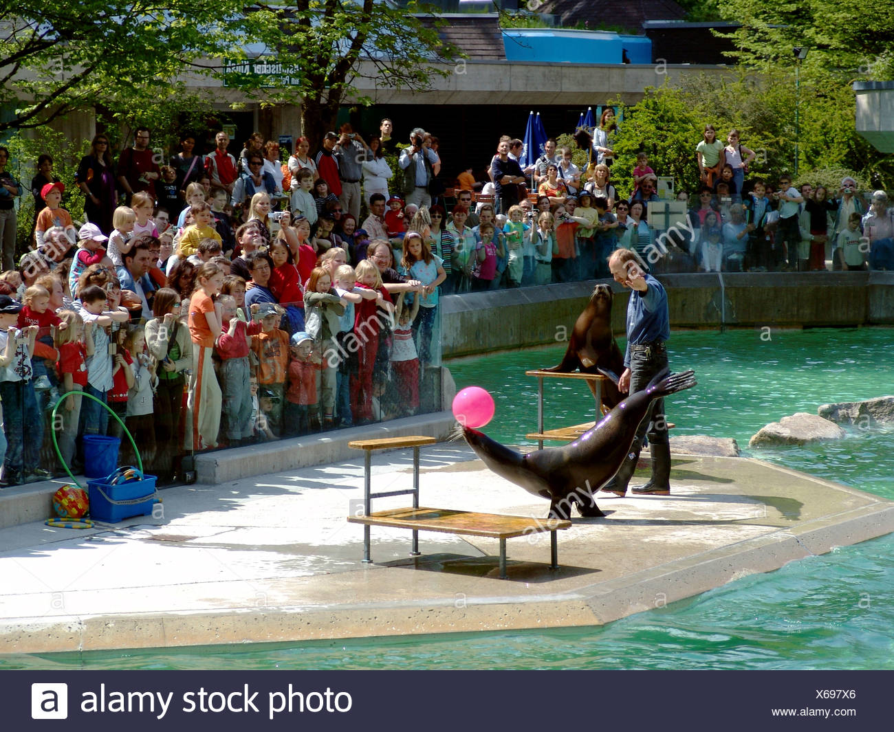 Seal Zoo High Resolution Stock Photography and Images - Alamy