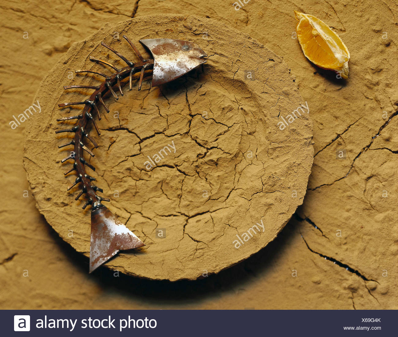 Fish Skeleton High Resolution Stock Photography and Images - Alamy