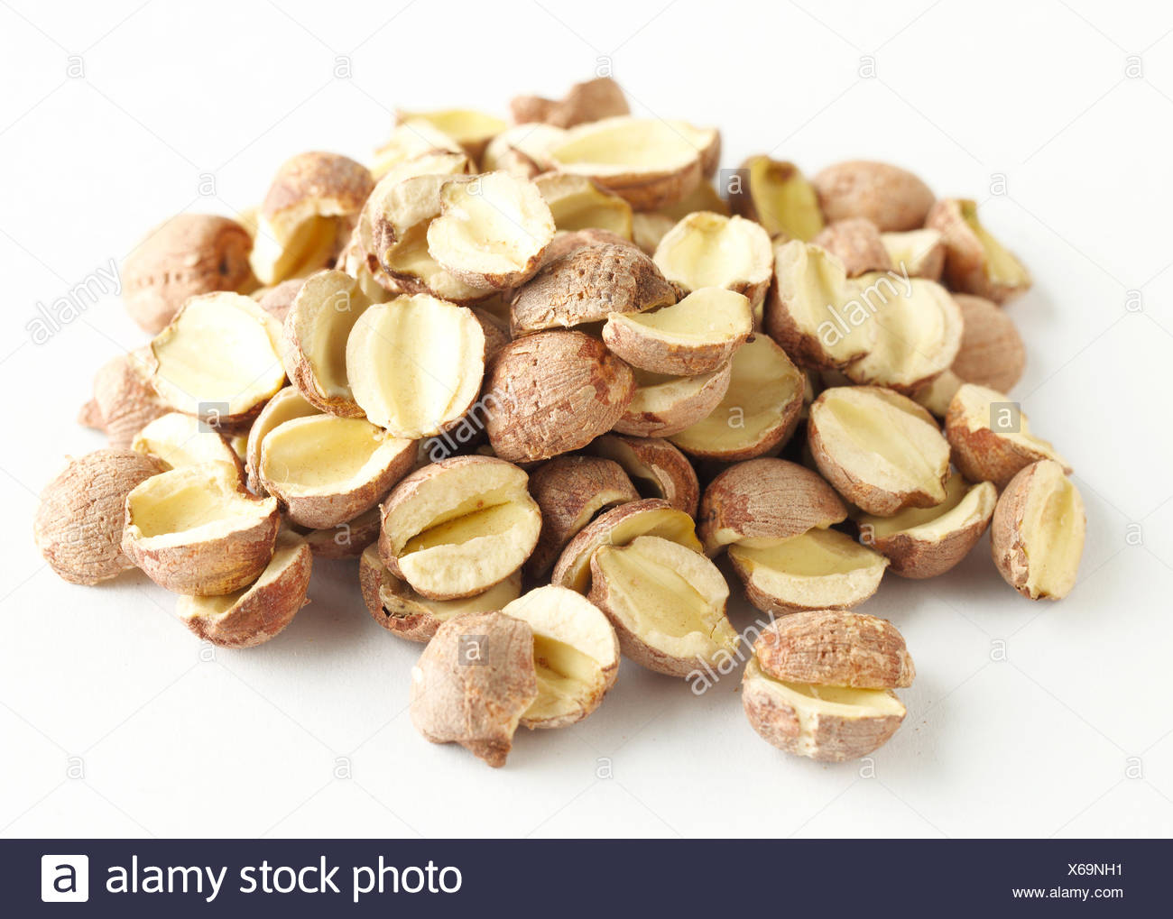 Fox Nut High Resolution Stock Photography and Images - Alamy