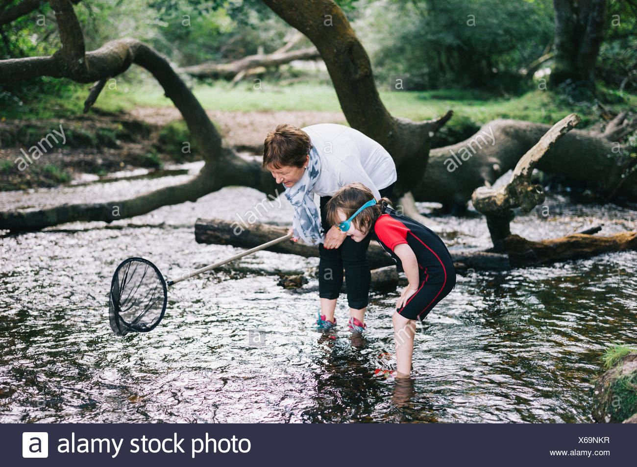 Wading In The Shallow Water High Resolution Stock Photography and ...