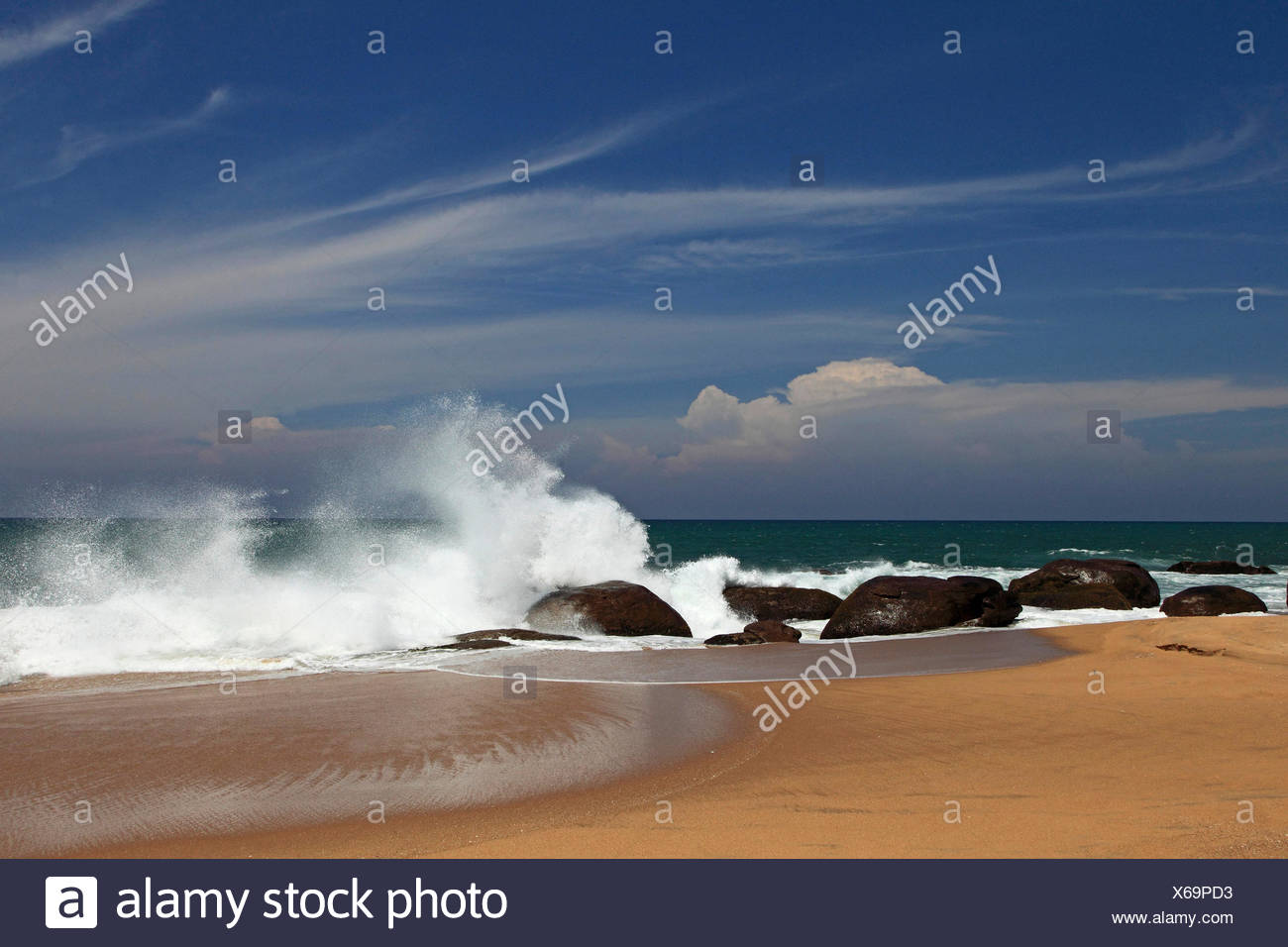 Yala National Park Beach High Resolution Stock Photography and Images ...