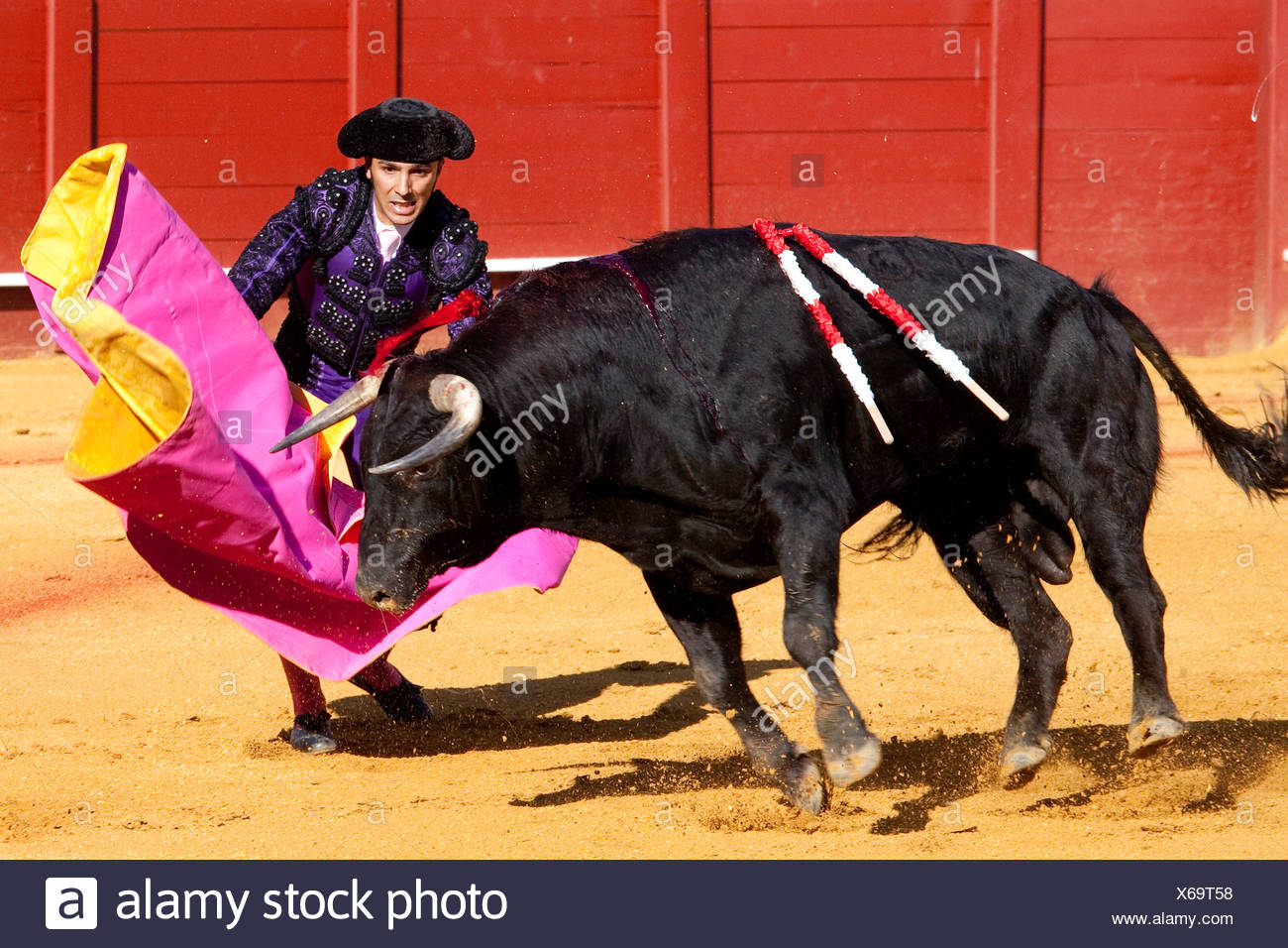 Matador Fights Bull High Resolution Stock Photography and Images - Alamy
