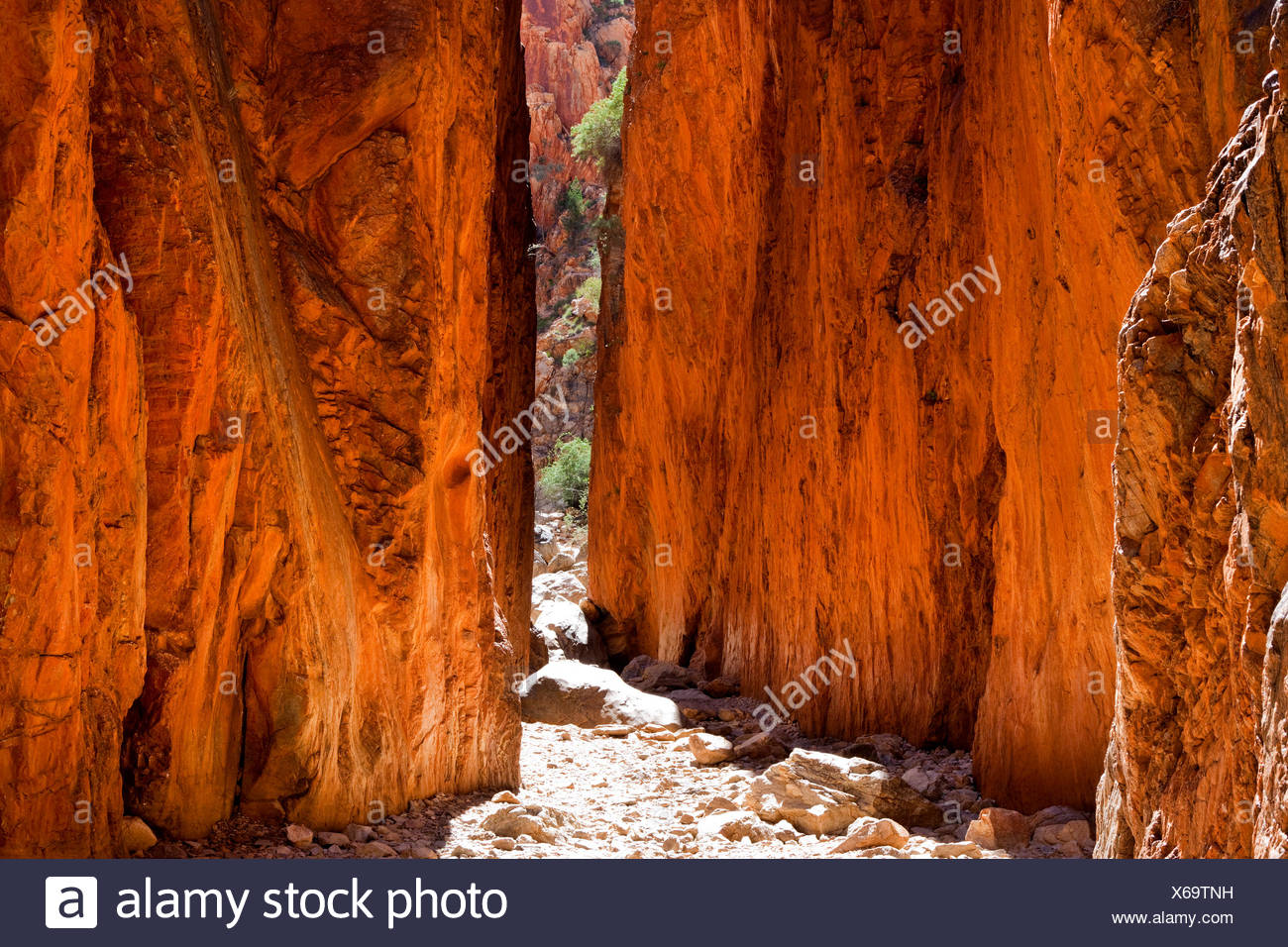 Standley Chasm Northern Territory Stock Photos & Standley Chasm ...
