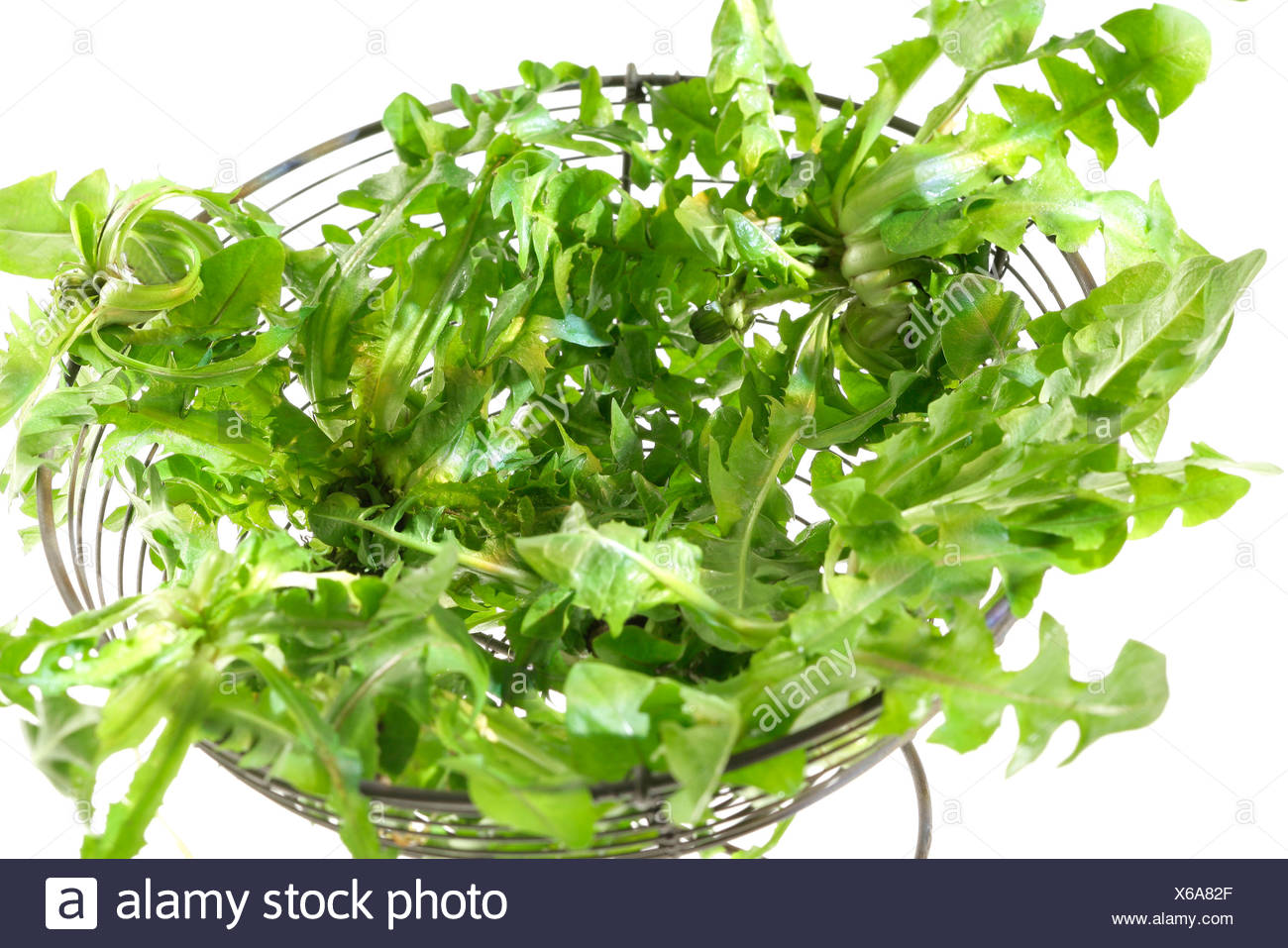 Dandelion Greens Stock Photos & Dandelion Greens Stock Images - Alamy