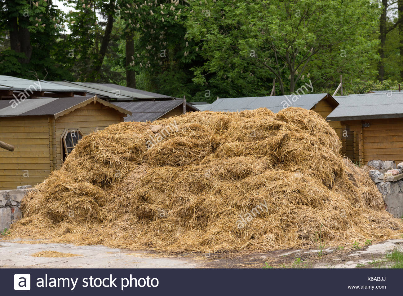 Animal Droppings Stock Photos & Animal Droppings Stock Images - Alamy