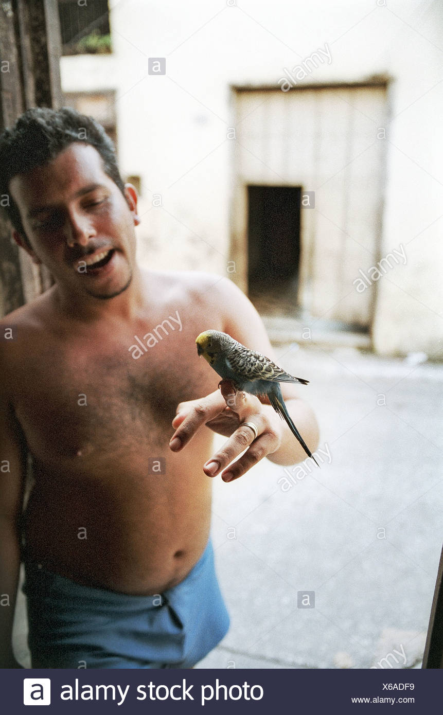 Budgie Man High Resolution Stock Photography and Images - Alamy