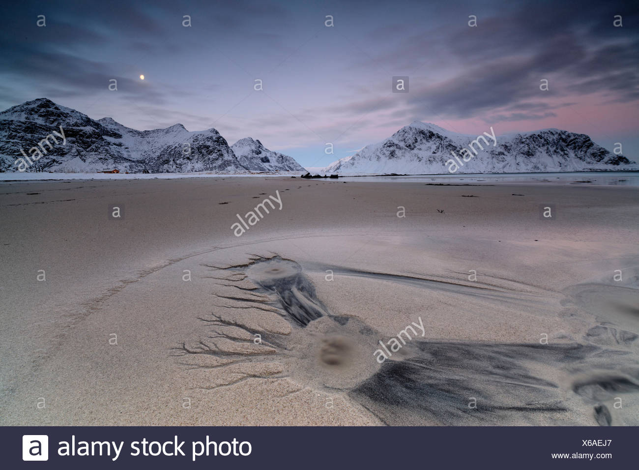 Full Moon Pink Sky High Resolution Stock Photography and Images - Alamy