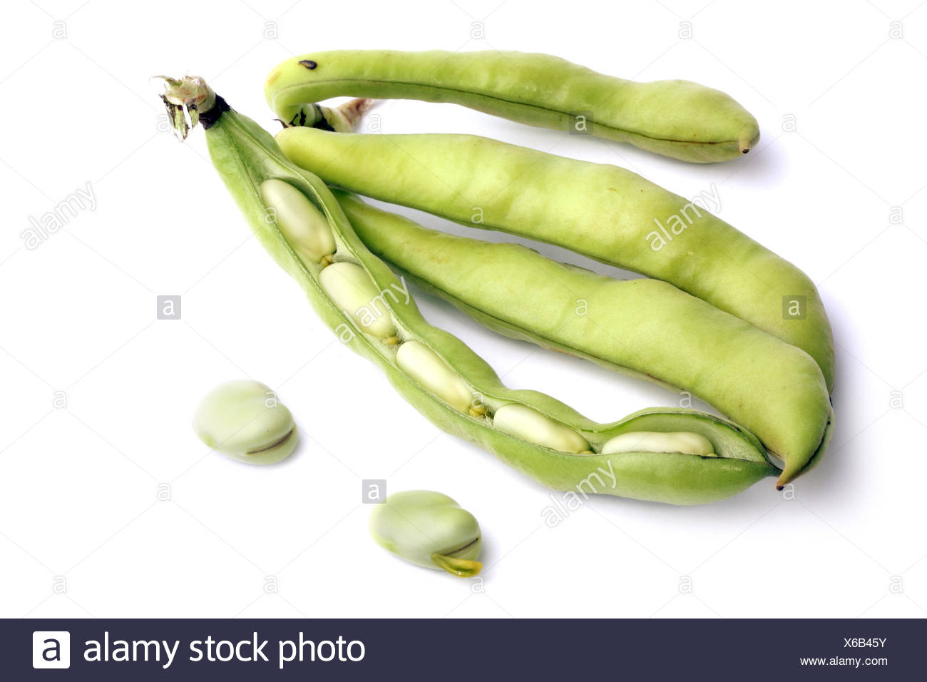 Broad Bean Pod High Resolution Stock Photography and Images - Alamy