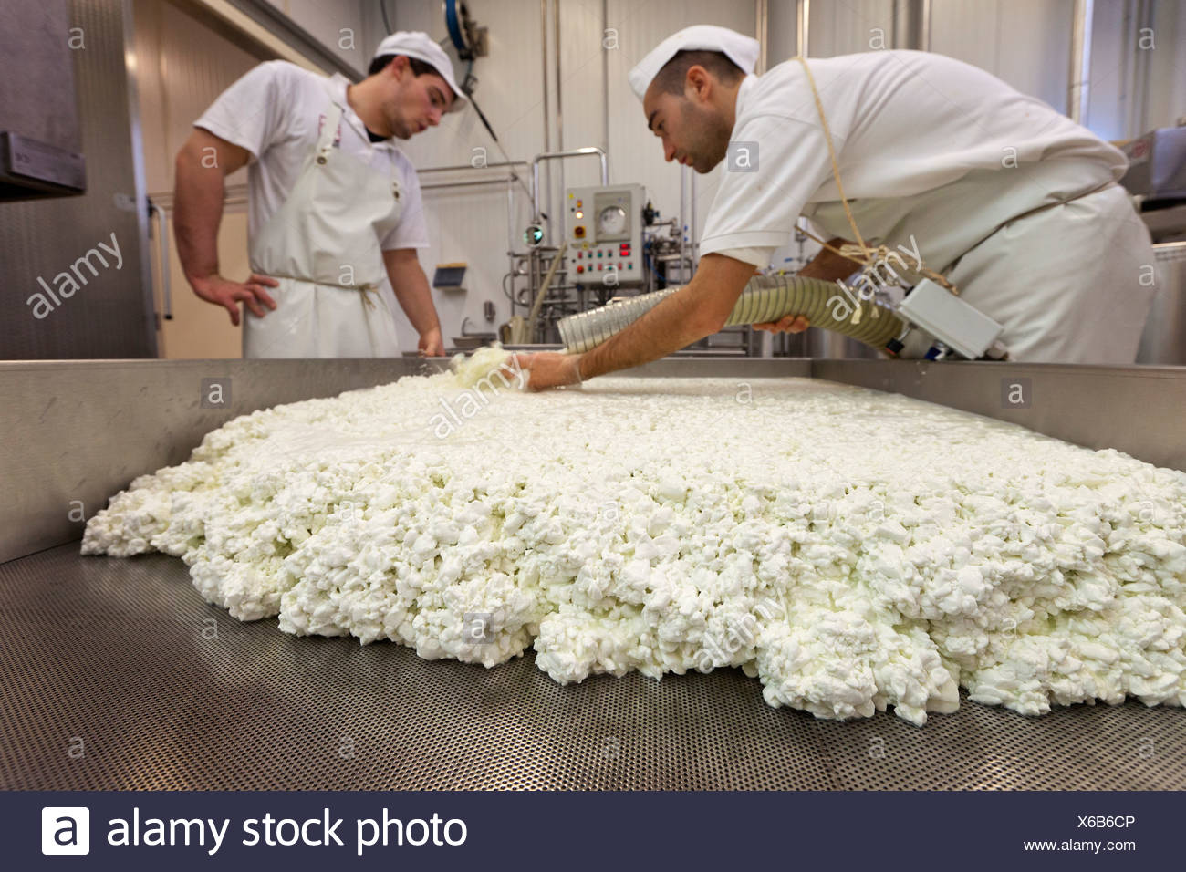 Buffalo Milk Stock Photos & Buffalo Milk Stock Images - Alamy